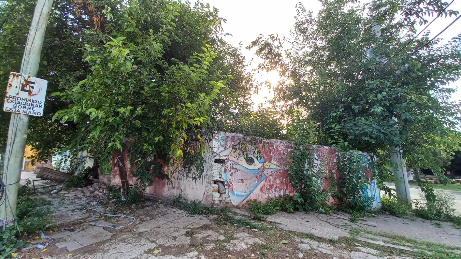 B° San Cayetano: Vecinos denuncian un terreno abandonado y maltrato animal
