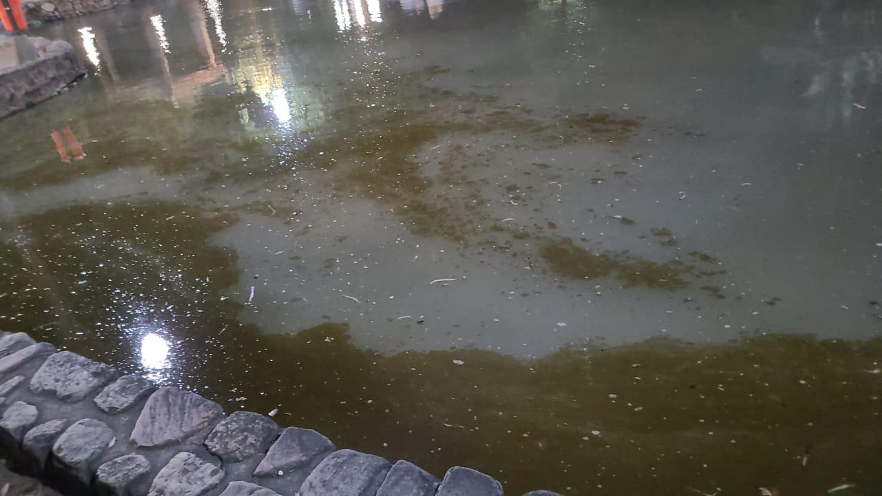 Lago del parque San Martin contaminado